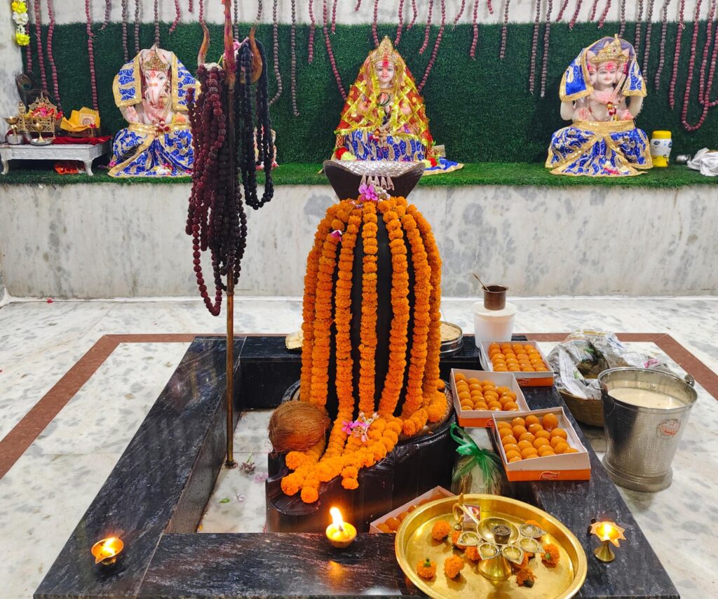 श्री सर्वेश्वर महादेव मंदिर में गूंजा भोलेनाथ का जयकारा - NTN REPORT